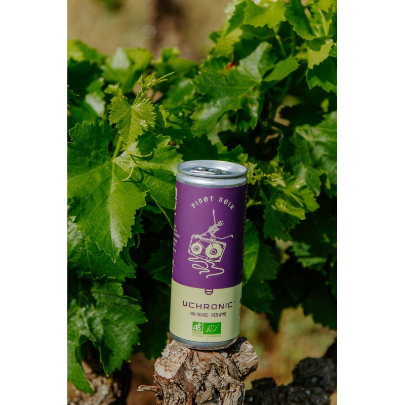 R3.0 - VIN BIO -PINOT- IGP OC - 25cl